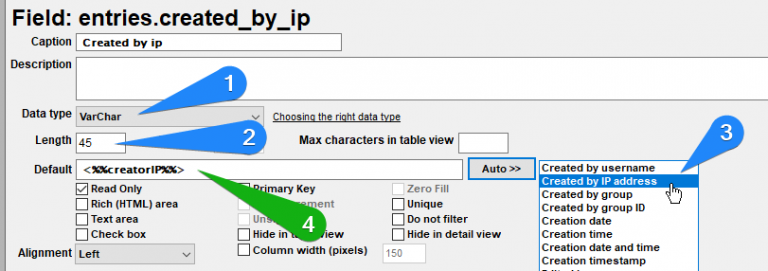 Datatype and length for storing IP-addresses in databases | AppGini Helper